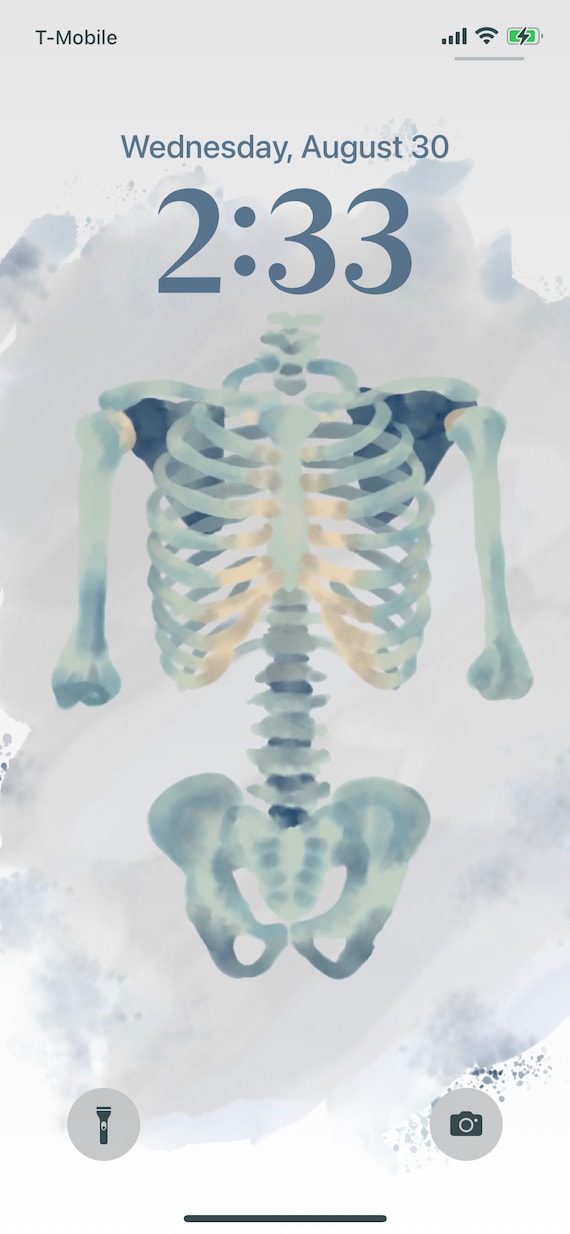 Anatomy Art Wallpaper