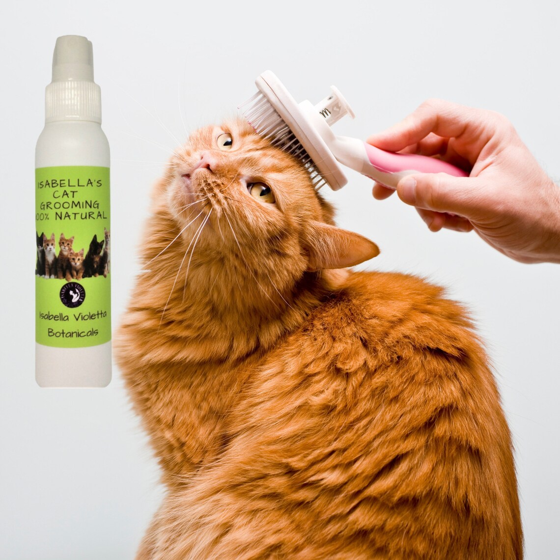 All Natural Cat Grooming Spray Includes ORGANIC Flea Tincture ...