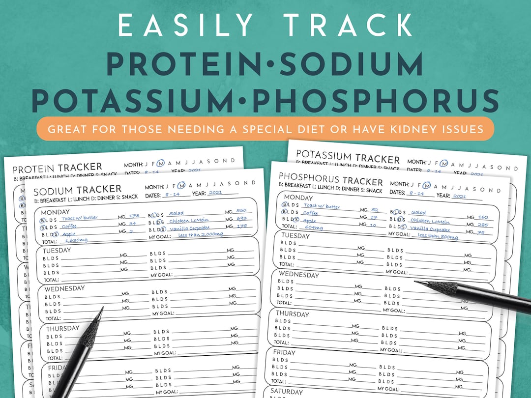 Chronic Kidney Disease Diet Track Protein, Sodium, Potassium ...