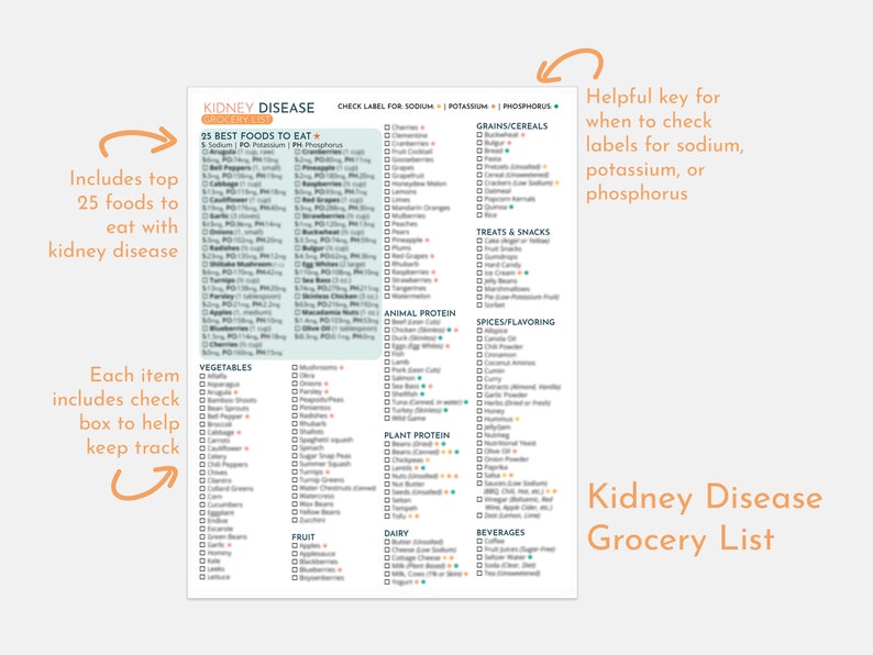 Kidney Disease Meal Plan Guide: Low Sodium Diet (printable PDF) - Etsy