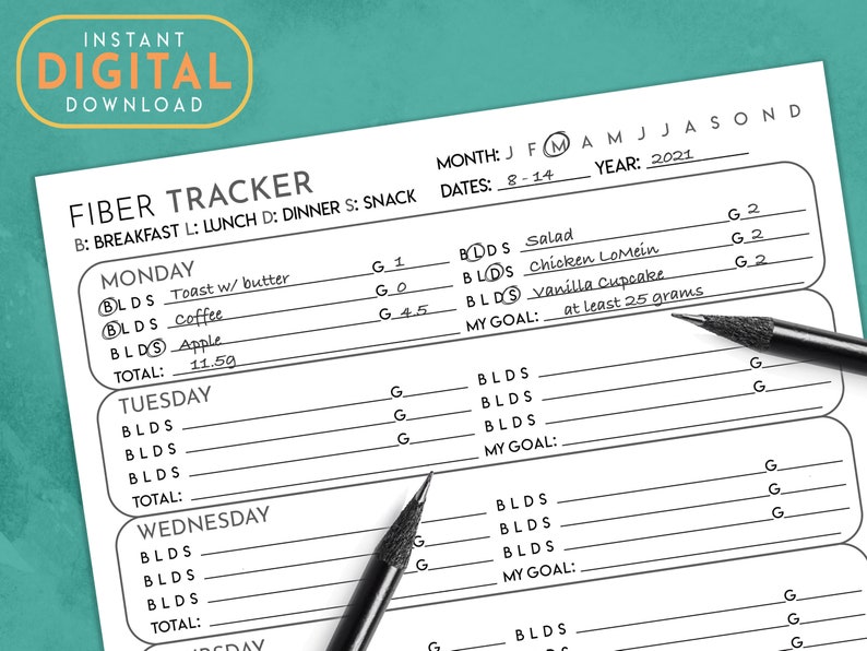 Fiber Weekly Tracker Digital Download Printable Healthy - Etsy