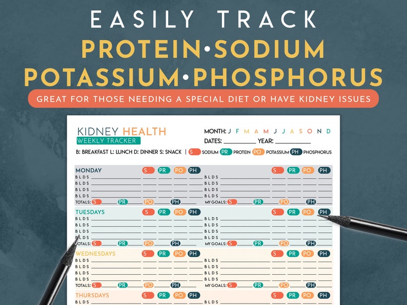 Chronic Kidney Disease Diet Track Protein Sodium - Etsy