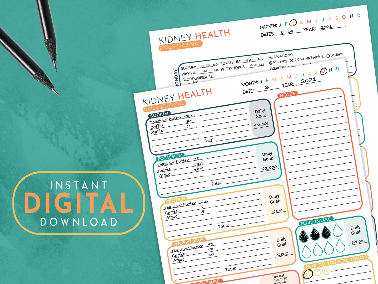 Kidney Health Daily + Weekly Journal, Track Diet, Blood Pressure ...