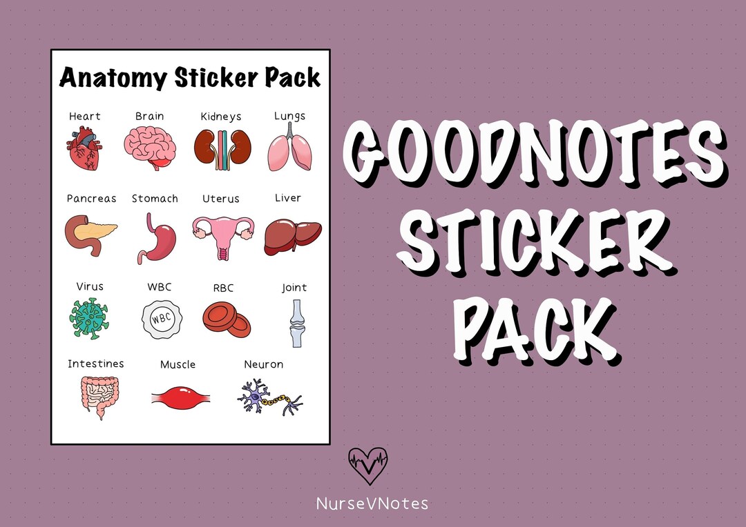 Goodnotes Anatomy Sticker Pack Nursing Stickers Digital Stickers - Etsy UK