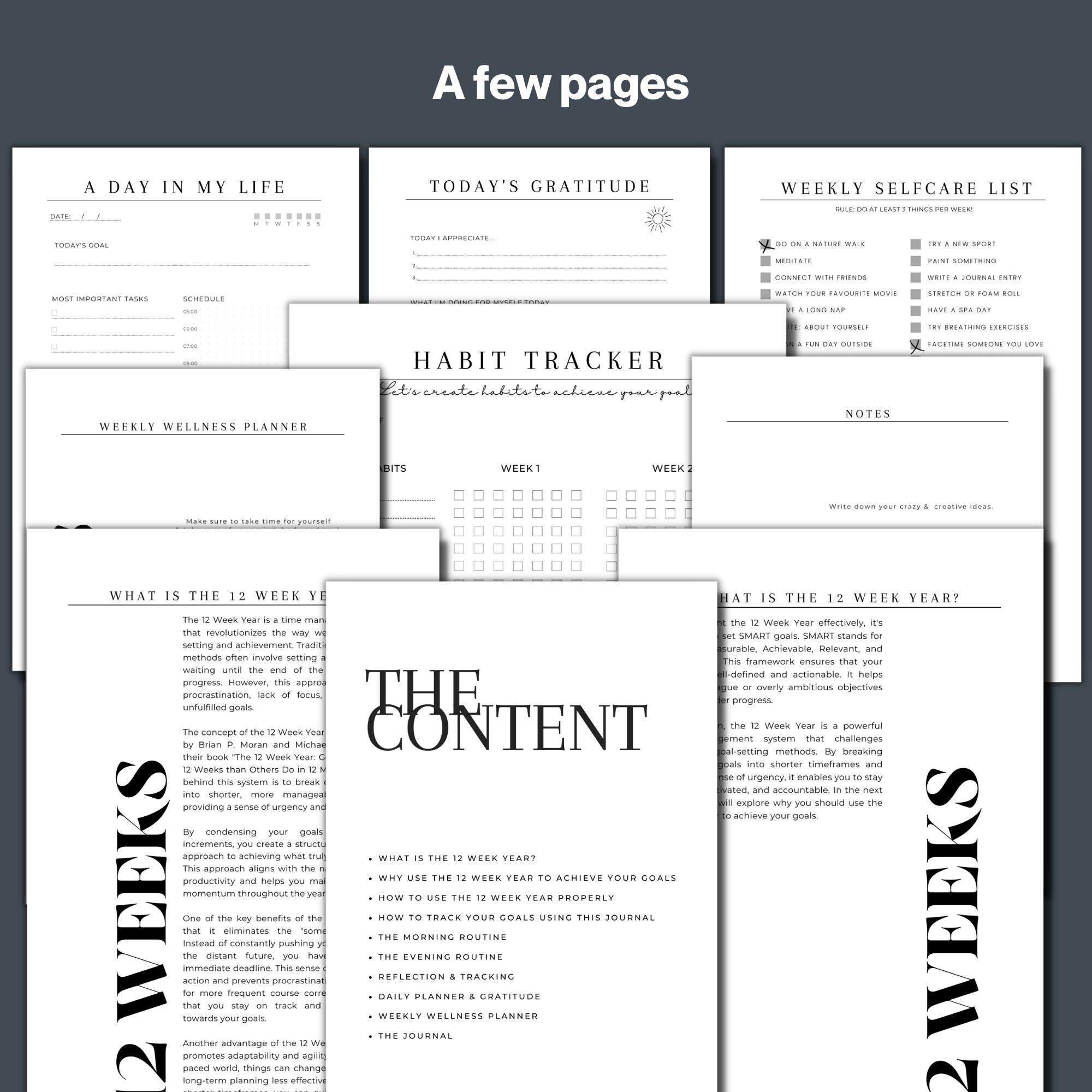 Digital 12-Week YEAR Planner | 12 Week Year-Printable Weekly Organizer ...
