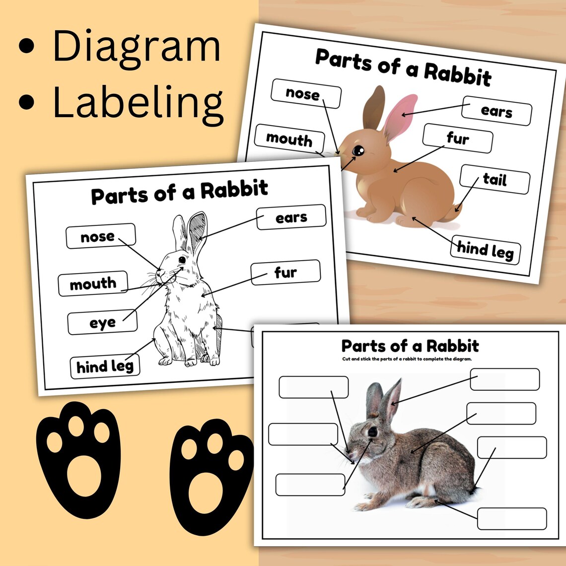Rabbit Labeling and Writing Activities | Woodland Animal Worksheets ...