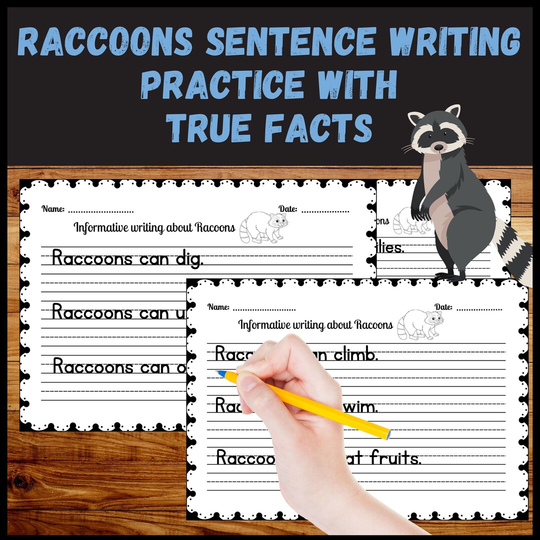 Raccoons Informative Sentence Writing Practice Worksheets With True ...