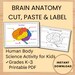 Brain Anatomy Cut and Paste Activity | Human Brain Labeling Worksheets ...