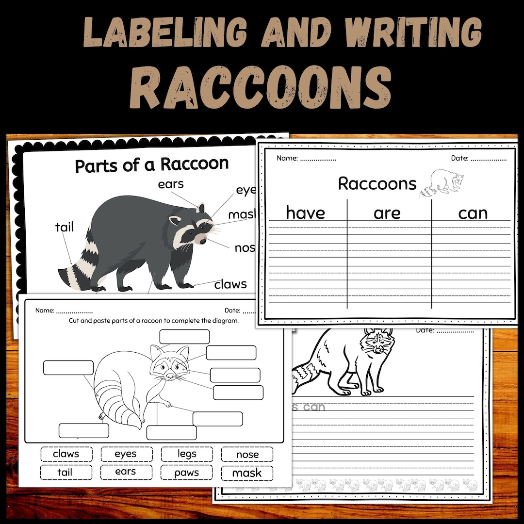 Raccoon Discovery Pack: Engaging Educational Resource for Exploring ...