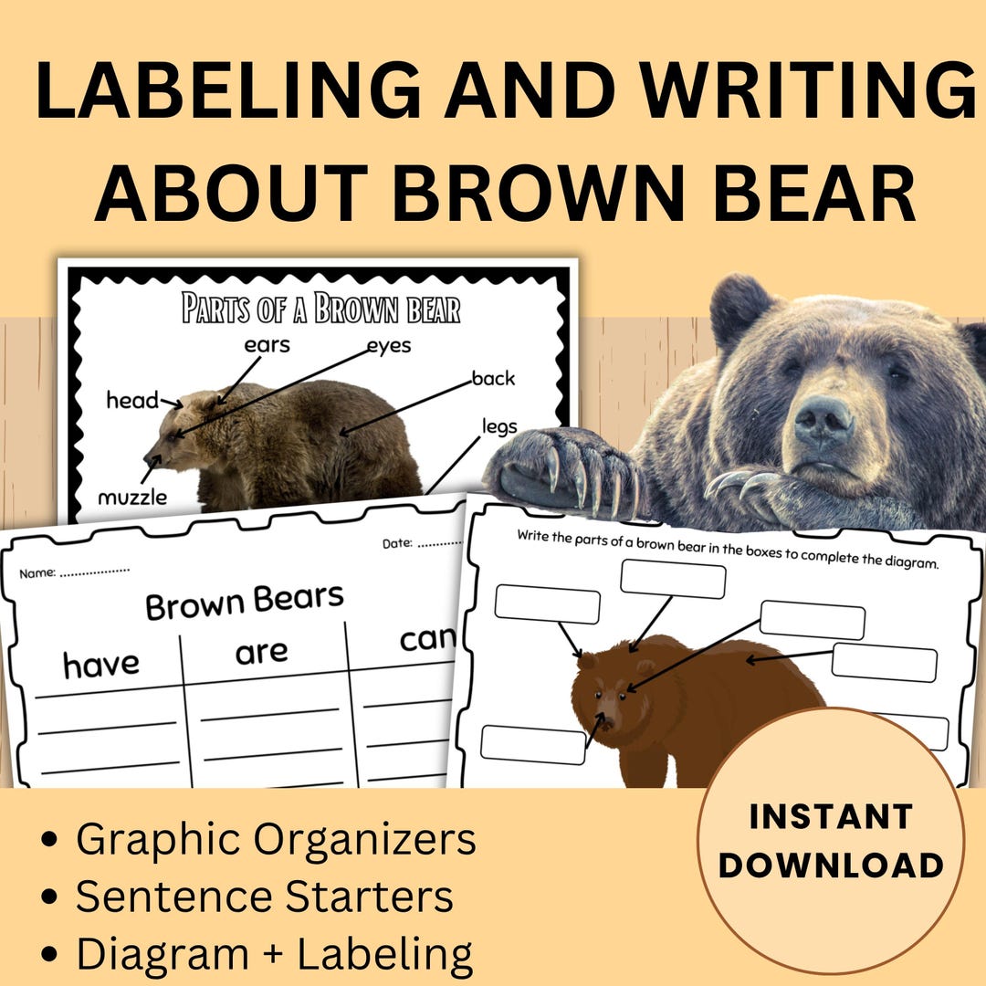 Brown Bear Labeling and Writing Activities | Woodland Animal Worksheets ...