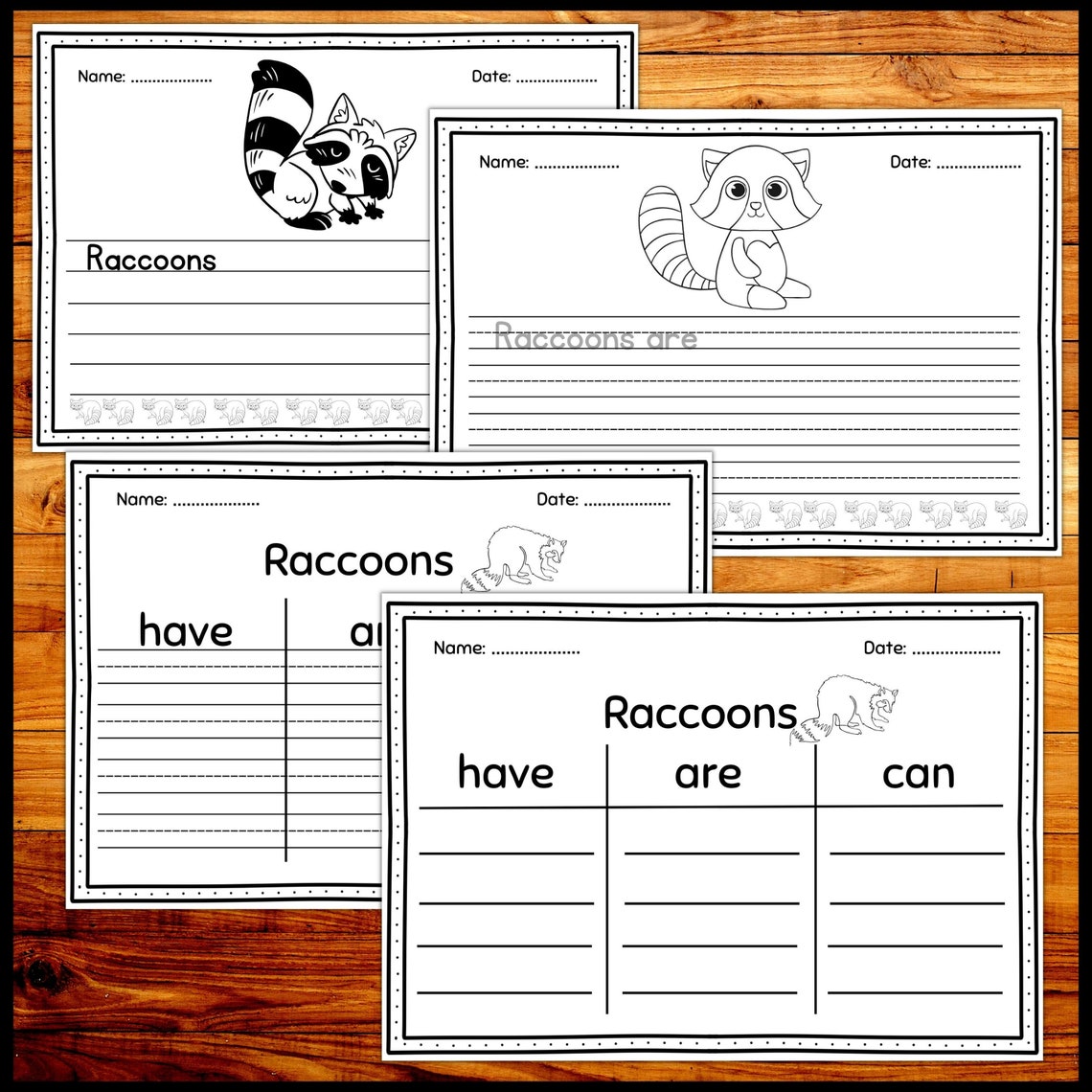 Raccoon Discovery Pack: Engaging Educational Resource for Exploring ...