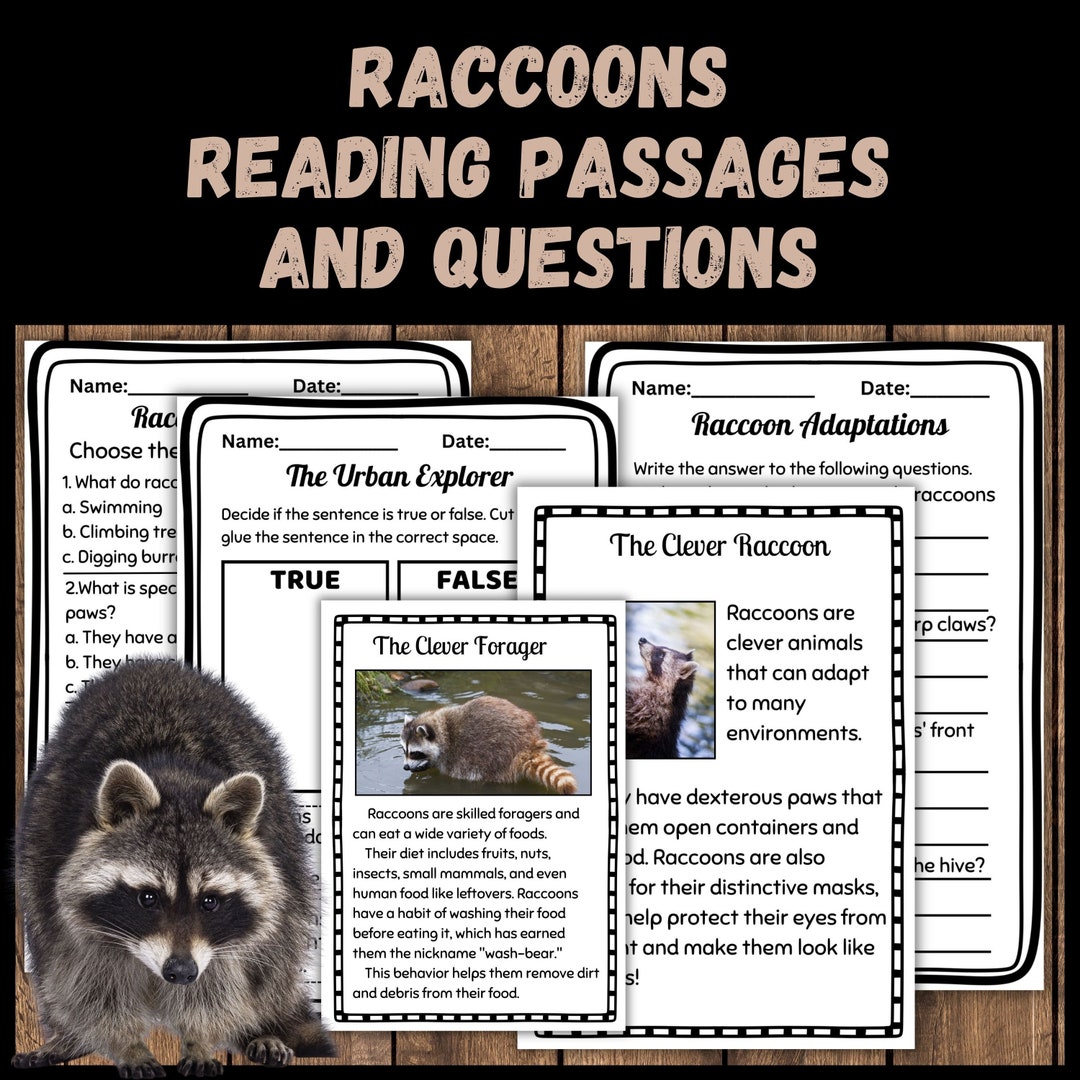 Raccoon Adventure: Explore 5 Fascinating Passages With Fun Worksheets ...