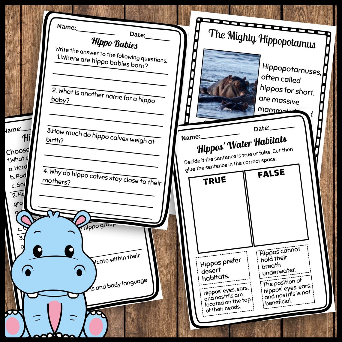 Hippo Adventure: Explore 5 Fascinating Passages With Fun Worksheets! - Etsy