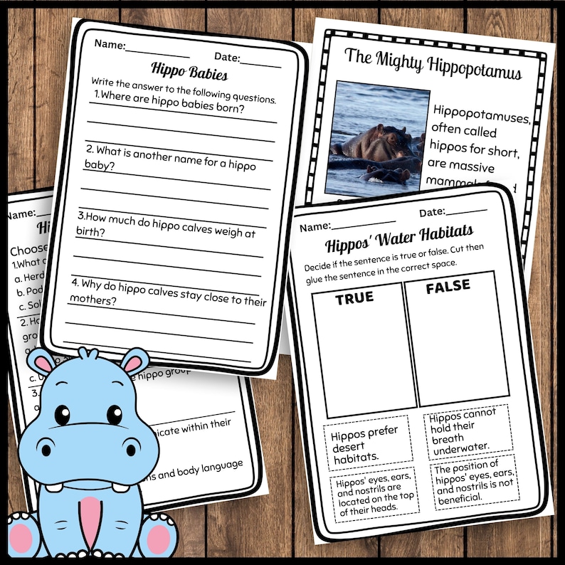 Hippo Adventure: Explore 5 Fascinating Passages With Fun Worksheets! - Etsy