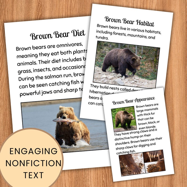 Woodland Animals Reading Passages With Comprehension Worksheets ...