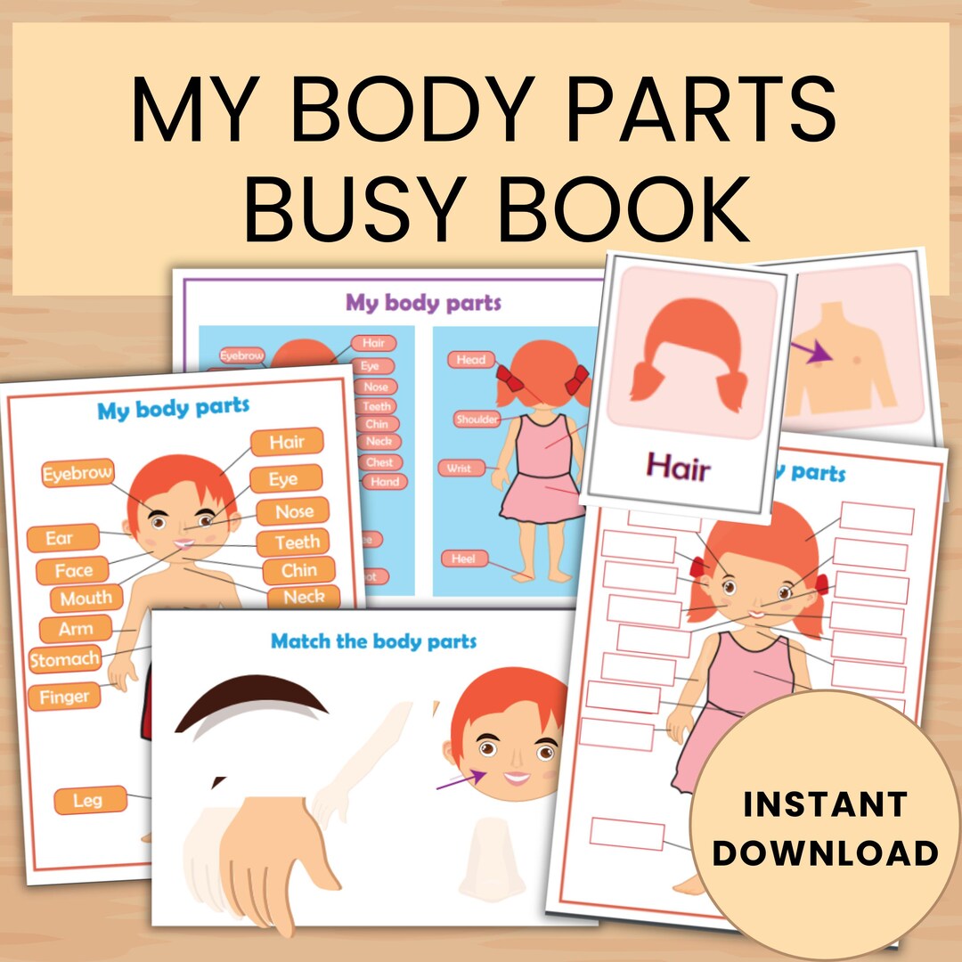 My Body Parts Busy Book | Printable Preschool Human Body Activities ...