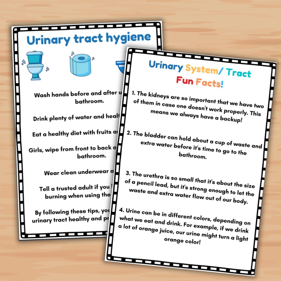 Human Urinary System Anatomy Activity: Cut, Paste & Label (grades K-4 ...