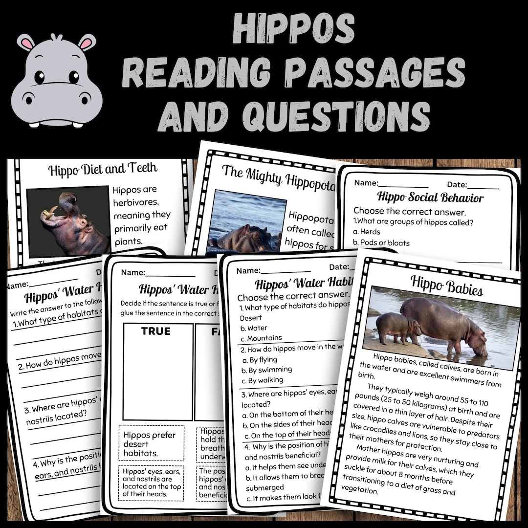 Hippo Adventure: Explore 5 Fascinating Passages With Fun Worksheets! - Etsy