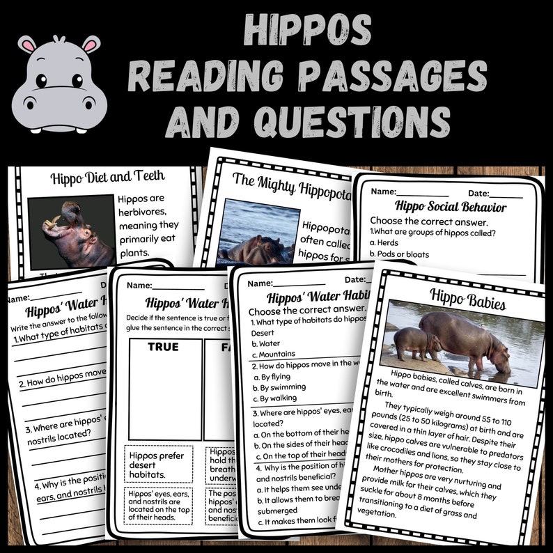 Hippo Adventure: Explore 5 Fascinating Passages With Fun Worksheets! - Etsy