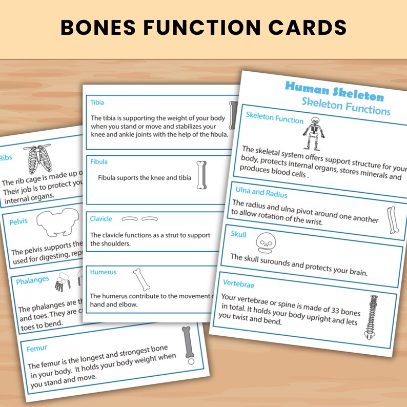 Human Skeleton Anatomy Activities | Label, Match, Build, Trace and ...