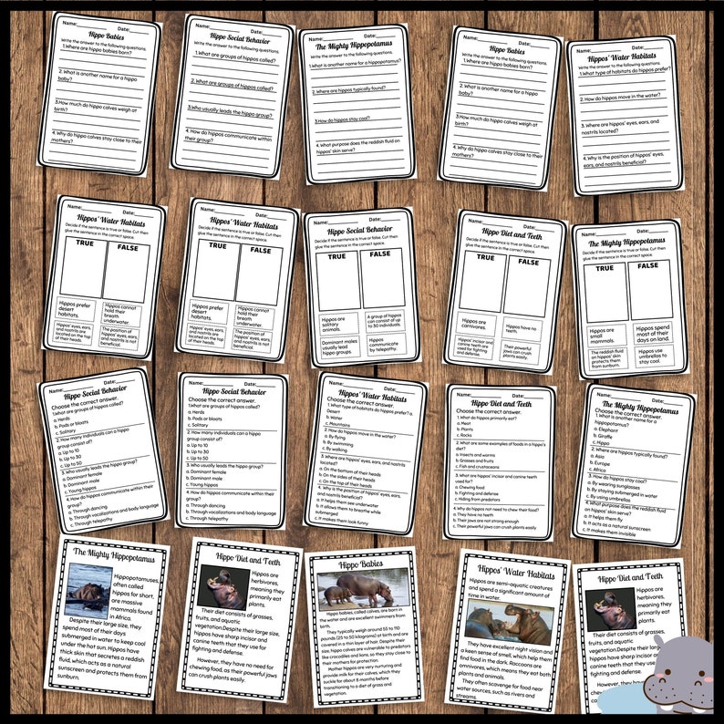 Hippo Adventure: Explore 5 Fascinating Passages With Fun Worksheets! - Etsy