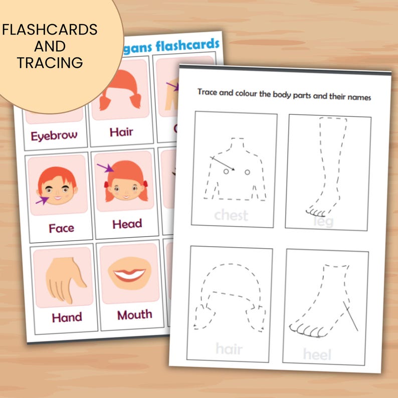 My Body Parts Busy Book: Printable Human Anatomy Learning Folder ...