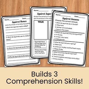 Woodland Animals Reading Passages With Comprehension Worksheets ...