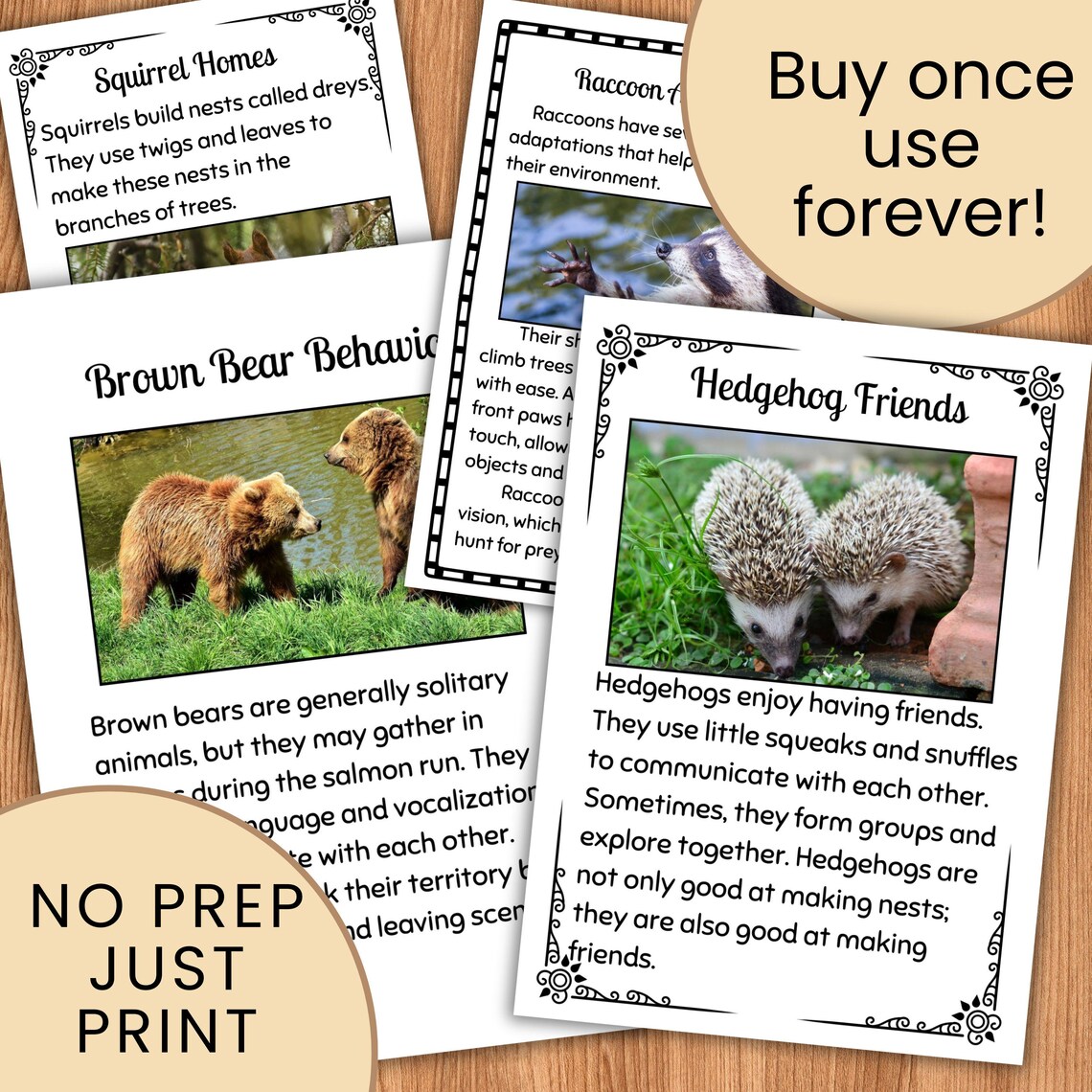 Woodland Animals Reading Passages With Comprehension Worksheets ...