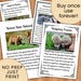 Woodland Animals Reading Passages With Comprehension Worksheets ...