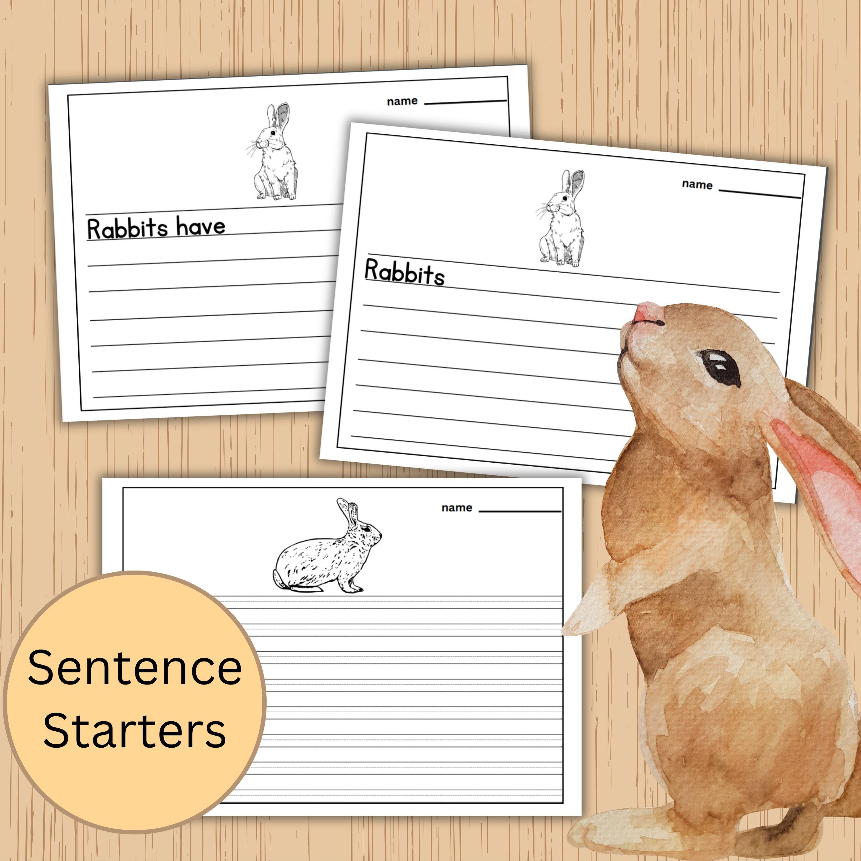 Rabbit Labeling and Writing Activities | Woodland Animal Worksheets ...