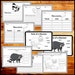 Raccoon Discovery Pack: Engaging Educational Resource for Exploring ...