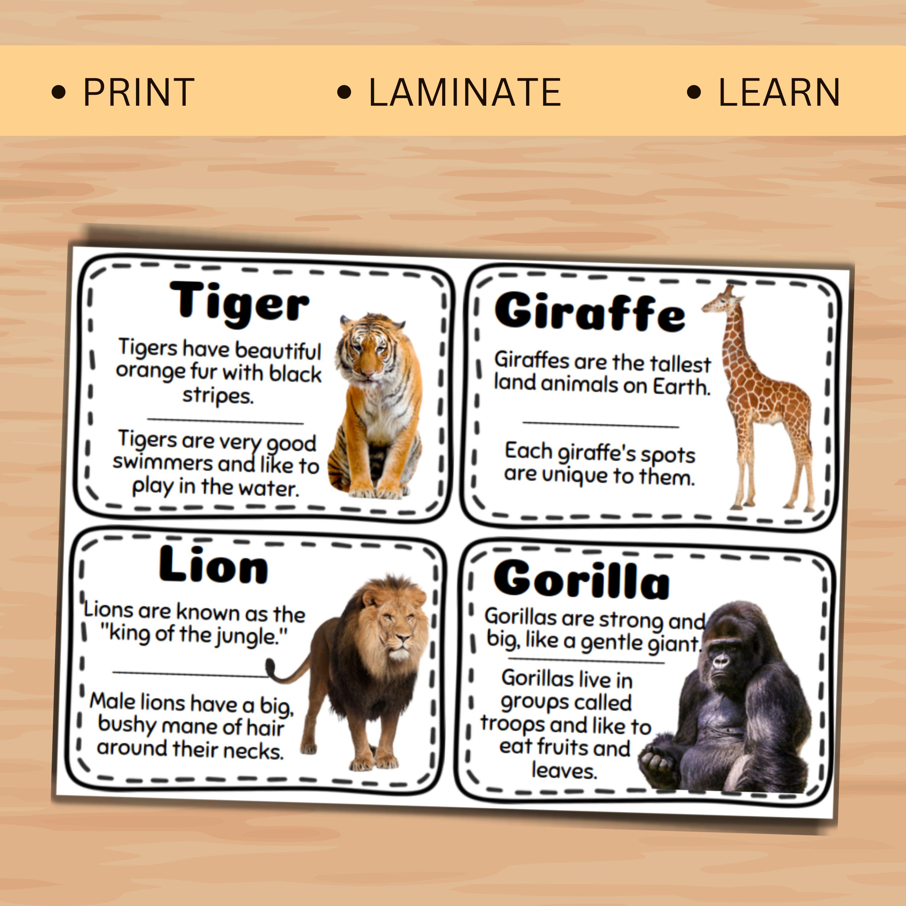 Zoo Animal Fun Fact Cards: Science Activity Flashcards (PDF Download ...
