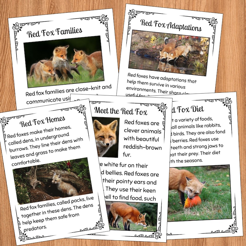 Red Fox Reading Comprehension Worksheets | Nonfiction Animal Passages ...