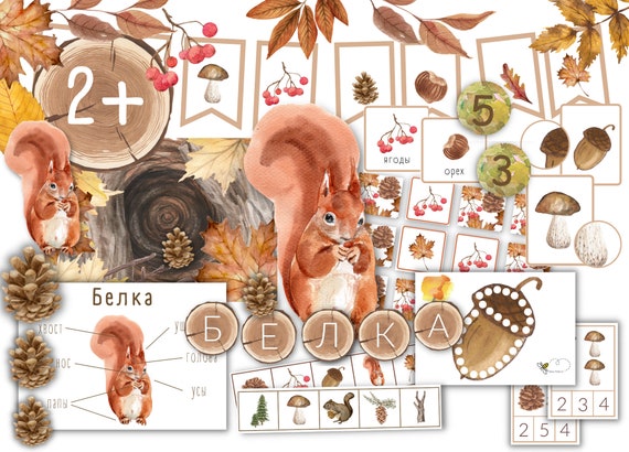 ПРОЕКТ БЕЛКА 2 Russian preschool Bundle - Etsy