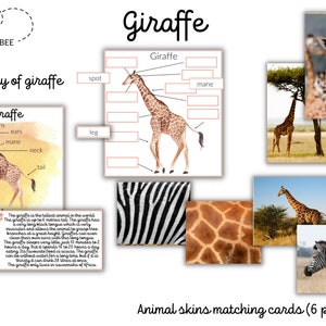 AFRICA BUNDLE | Preschool Bundle | Printable Kids Games | Printable ...