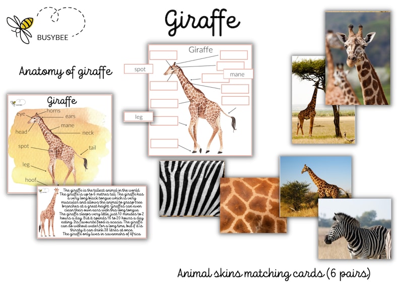 AFRICA BUNDLE | Preschool Bundle | Printable Kids Games | Printable ...