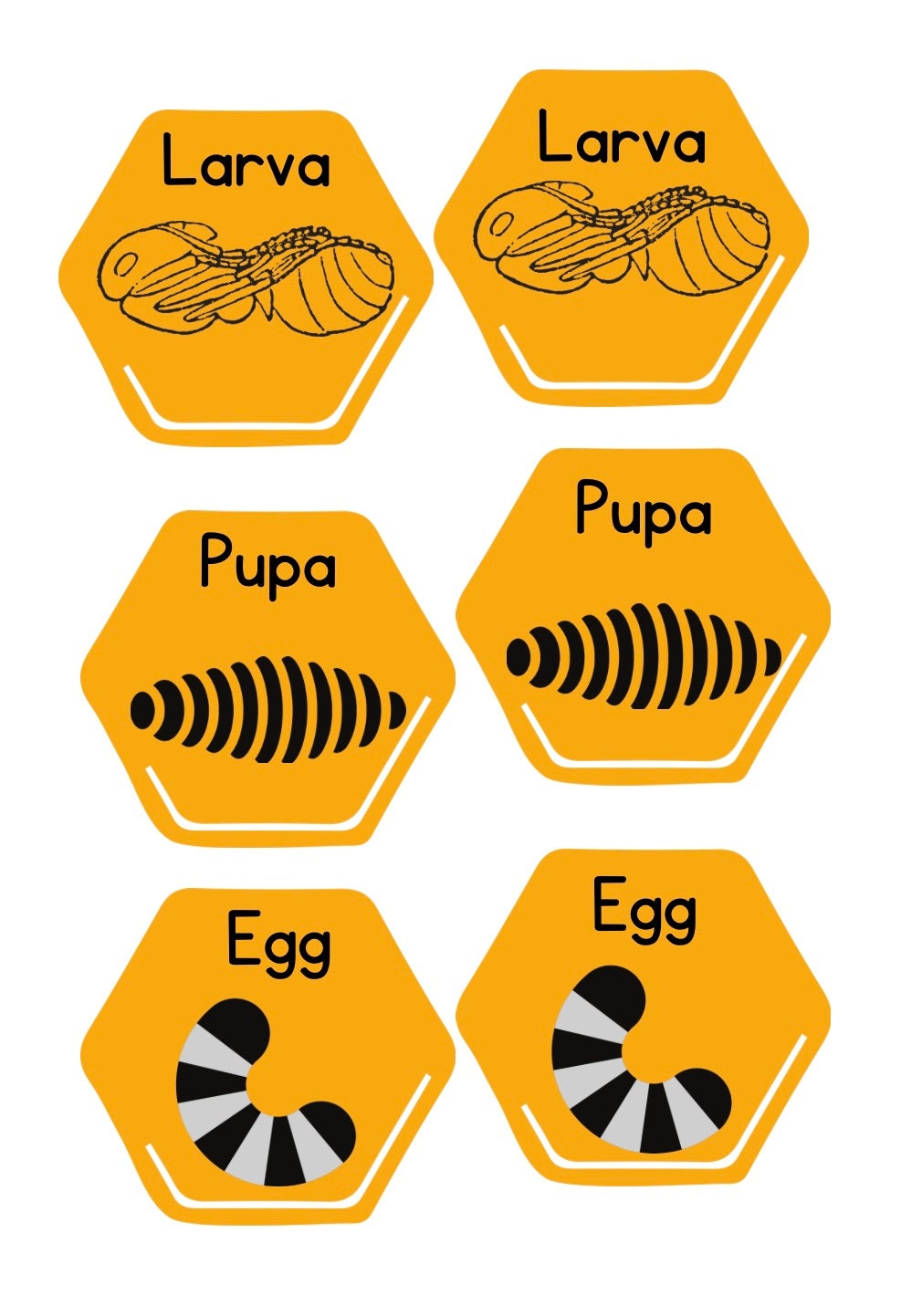 B is for Bee Preschool Unit - Etsy