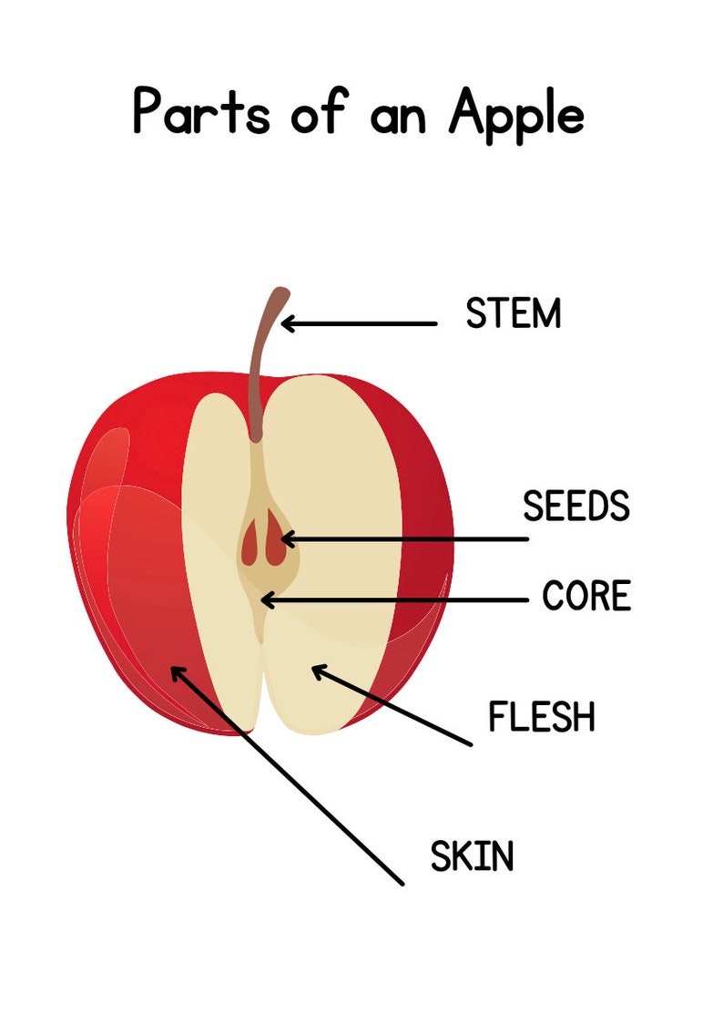 A is for Apple-preschool Unit - Etsy