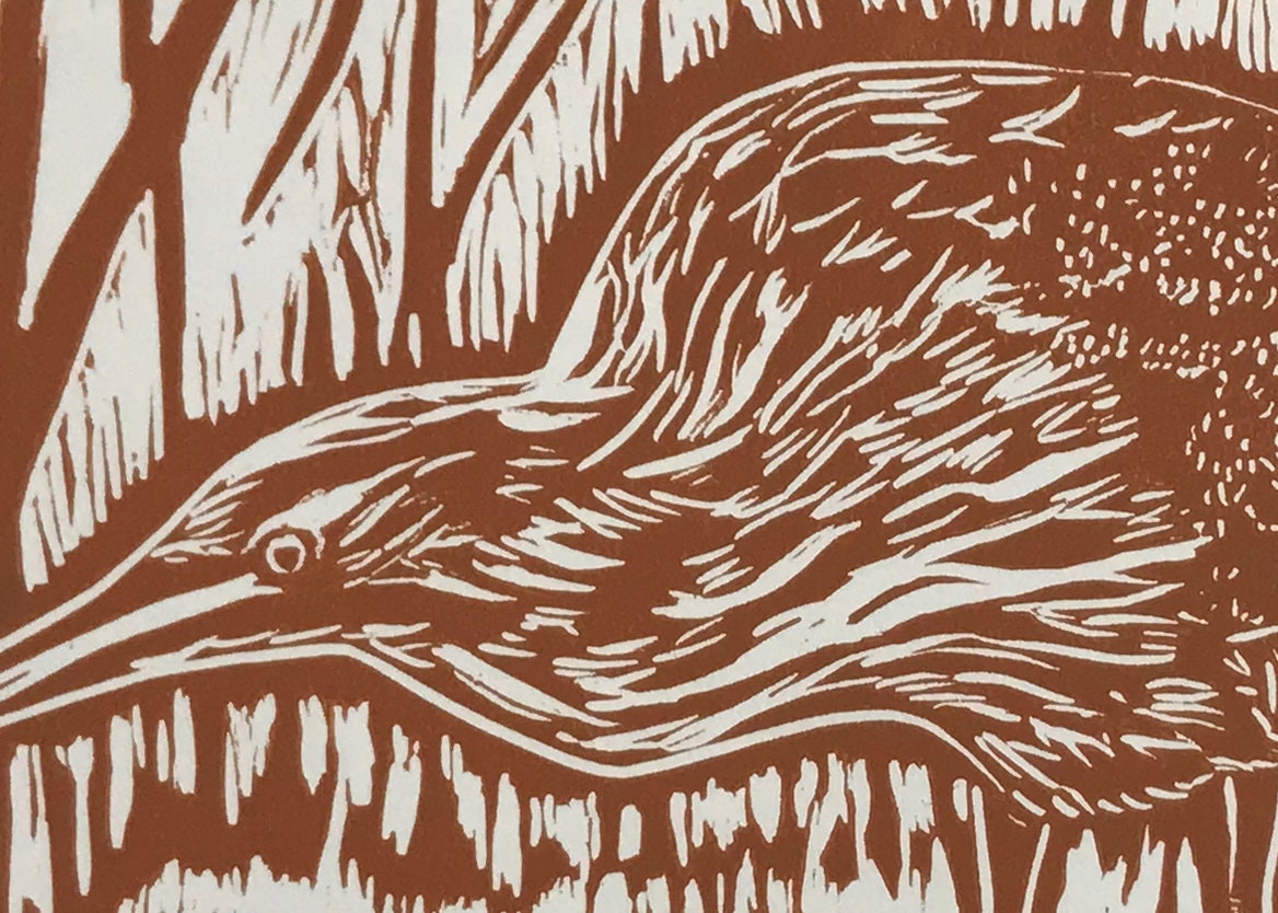 Bittern Print: Wildlife Art Print Limited Edition Bird Linocut American ...