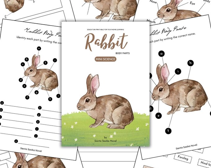 Montessori 3 Part Cards- Parts of a Rabbit - Etsy