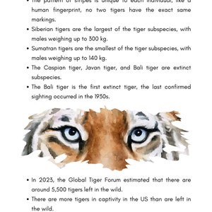 TIGER UNIT STUDY [nature Unit Study] Total 225 Pages | Science ...