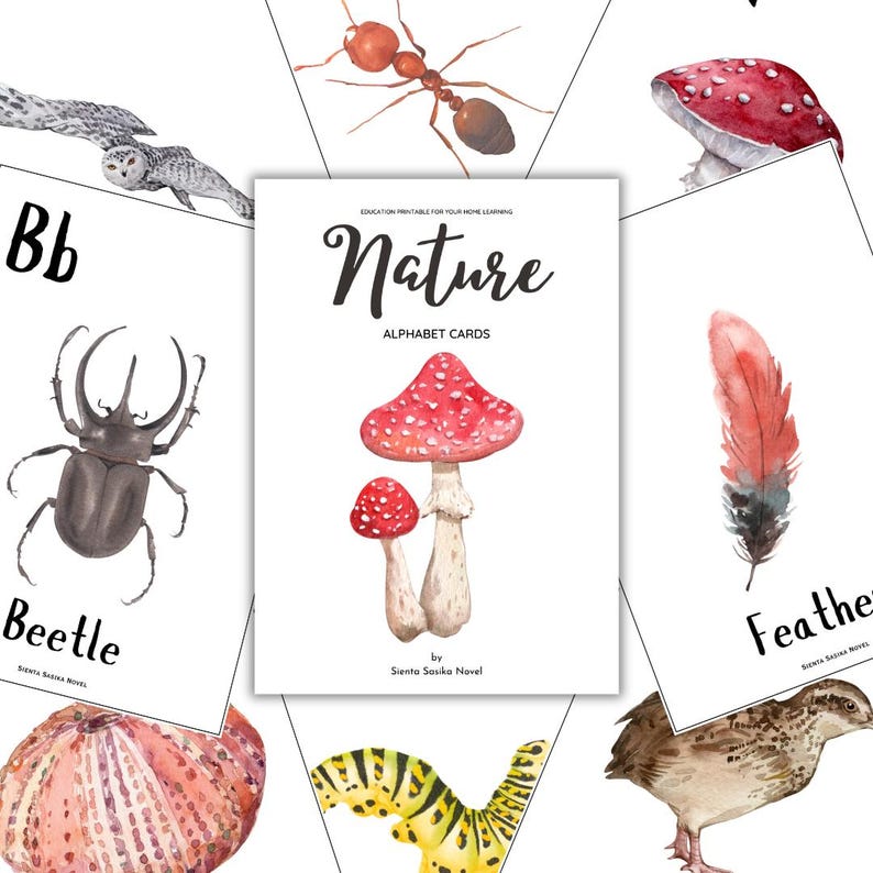 NATURE ALPHABET CARDS, Watercolor Alphabet Cards, Homeschool, Nature ...