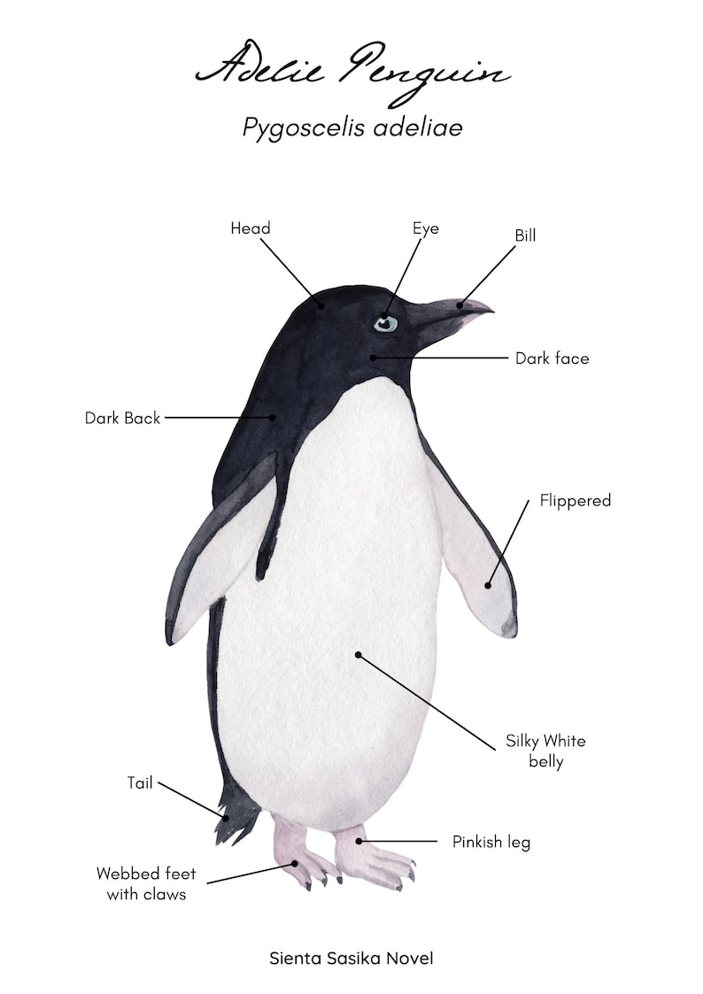 PENGUINS UNIT STUDY [nature Unit Study] Total 460 Pages | Science ...