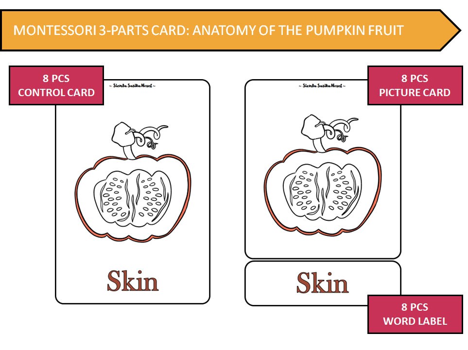 ANATOMY of THE PUMPKIN: Montessori 3 Parts Card and 43 Pages Worksheet ...
