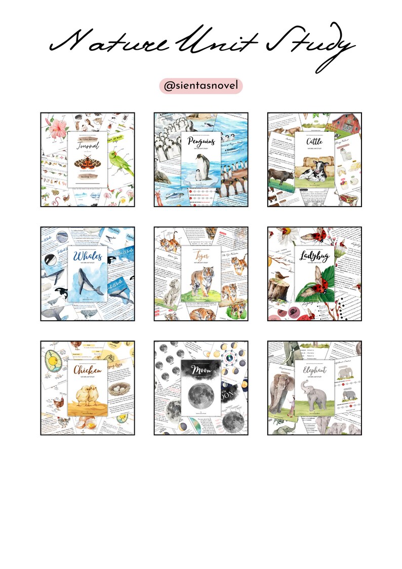 ELEPHANT UNIT STUDY nature Unit Study Total 178 Pages Science ...