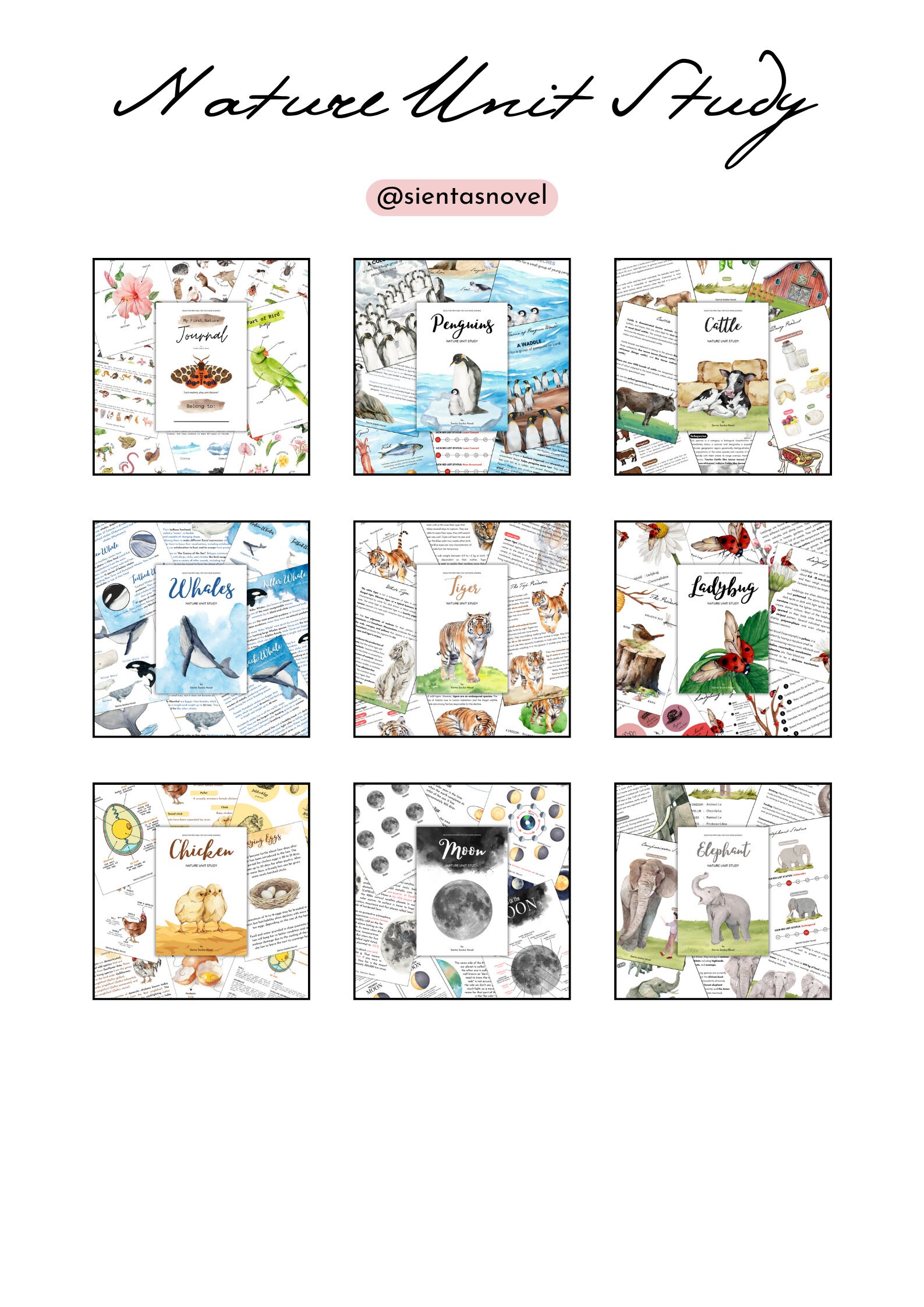 ELEPHANT UNIT STUDY nature Unit Study Total 178 Pages Science ...