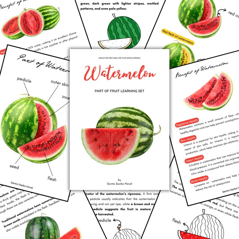 PART OF FRUIT: Watermelon Semangka Learning Anatomy of Fruit Botany ...