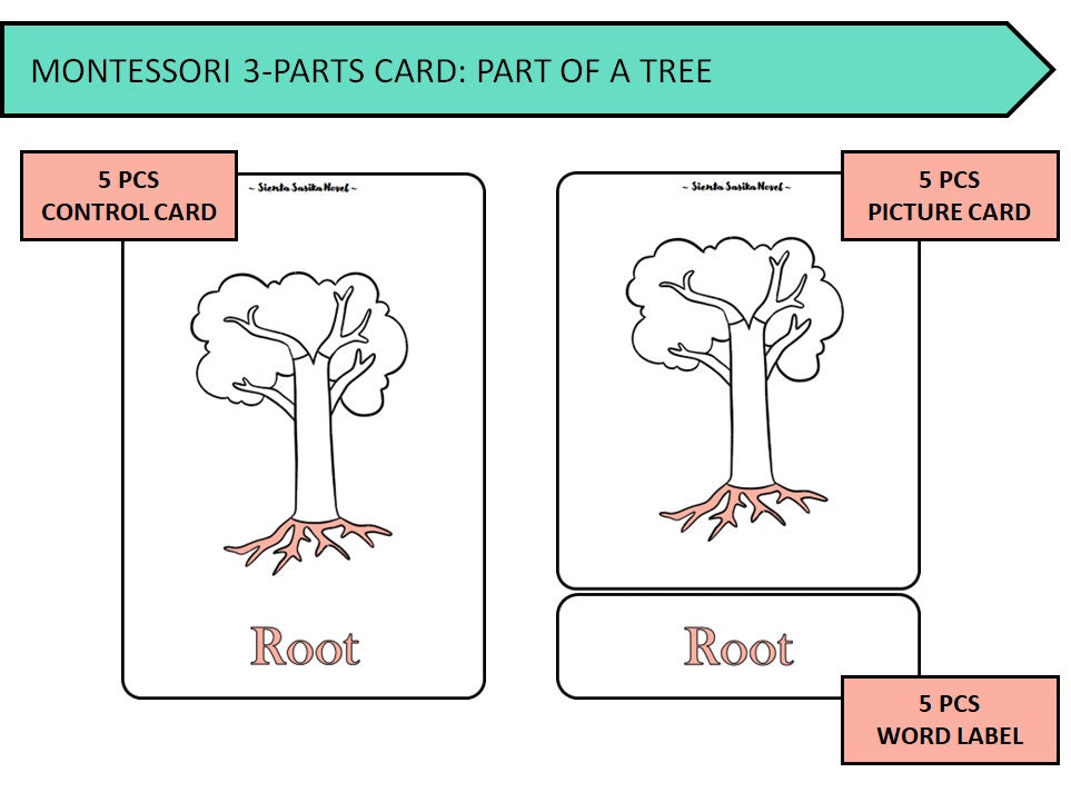 PART OF A TREE: Montessori 3 Parts Card and 39 Pages Worksheet - Etsy