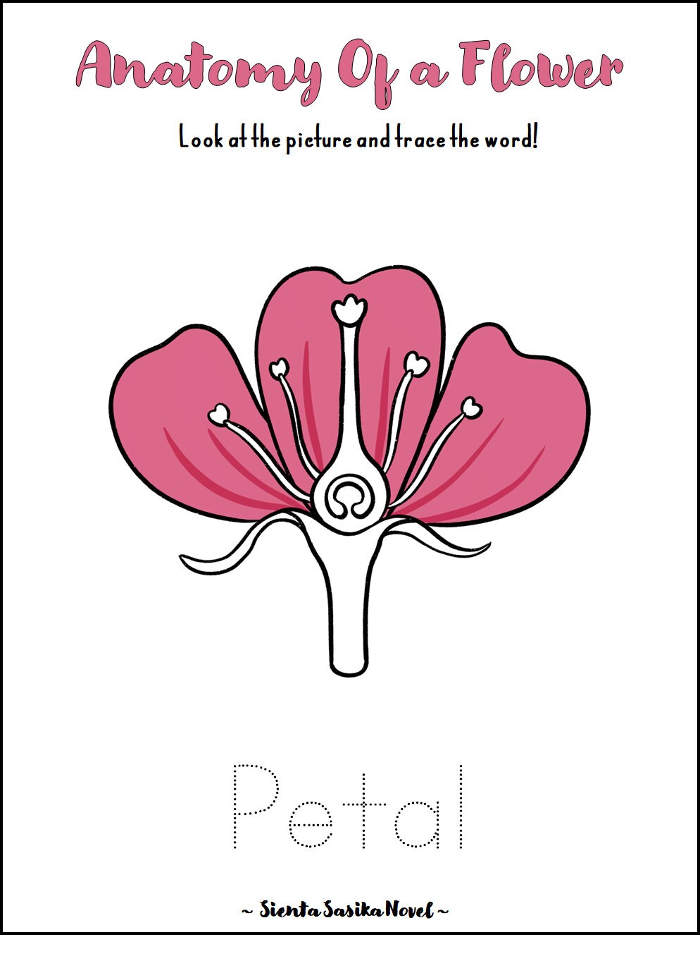 ANATOMY of A FLOWER: Montessori 3 Parts Card and 50 Pages - Etsy