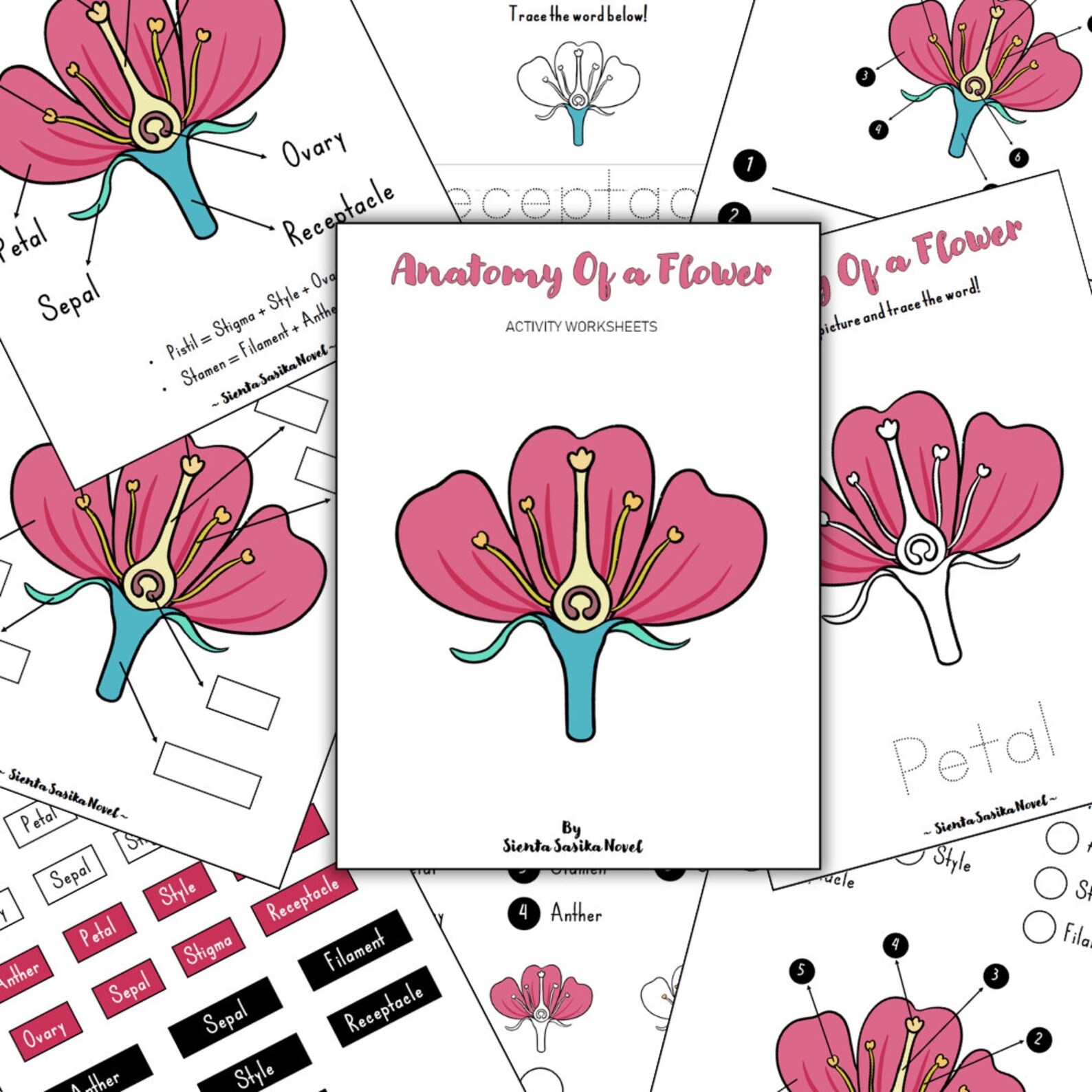 FLOWER ANATOMY: Montessori 3 Parts Card and 50 Pages Worksheet | Flower ...